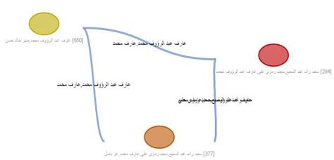 Sample Network Visualization Using Indirect Relation Discovery