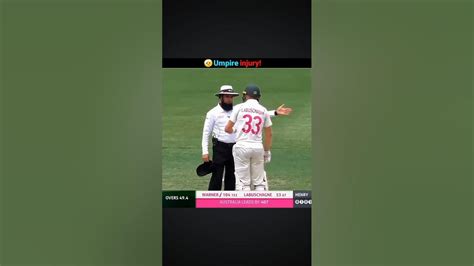 Enjoy Shots Short Youtube