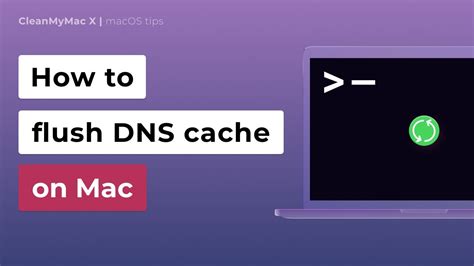 How To Flush DNS Cache On Mac YouTube