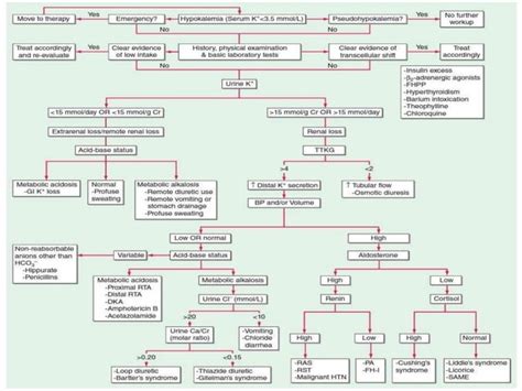 Hypokalemia Approach And Management Pptx