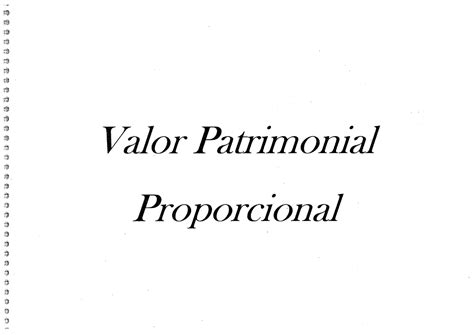 Vpp Libro Valor Patrimonial Proporciona Vpp Contabilidad Unse
