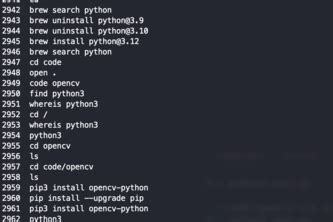 Fixing My Python Dev Environment Devpost