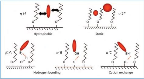 Whats New In Reversed Phase Liquid Chromatography Selectivity An Update From The Perspective