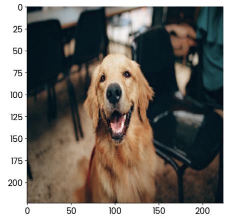 How To Visualize Machine Learning Models With Python Datacamp