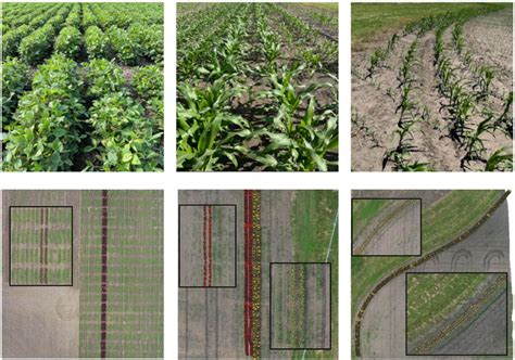 Towards Over Canopy Autonomous Navigation Crop Agnostic Lidar Based Crop Row Detection In
