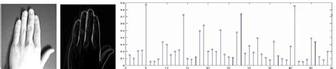 Hog Descriptor Extracted From A Gray Scale Hand Image From Cambridge