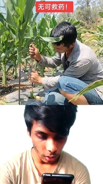এরকম বুদ্ধি থাকলে বউয়ের বাসায় থাকতে হবে না😂😱🙆🏻‍♂️ Shorts Ytshorts