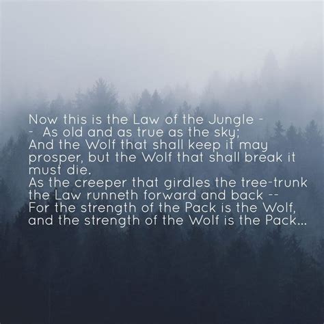 Jungle Book Quotes