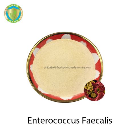 Aquaculture Feed Probiotics Mixed Feed Additive Enterococcus Faecalis