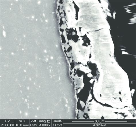 Cross Section Of Sample Produced At A Current Density Of 10 A Dm 2 And