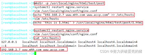 Nginx Locationrewrite Nginx Localhost Csdn