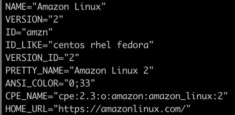 Console Not Showing · Issue 721 · Deepfencethreatmapper · Github