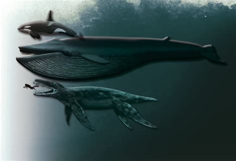 Species New To Science [paleontology • 2012] Pliosaurus Funkei