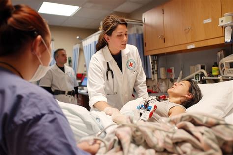 Describe The Process Of Triage Assessment For Inco Generative Ai Premium Ai Generated Image