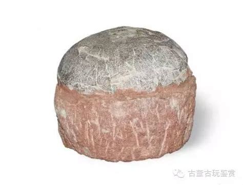 恐龍蛋化石價格到底值多少錢 每日頭條