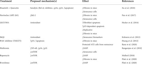 Frontiers Alveolar Type 2 Epithelial Cell Senescence And Radiation
