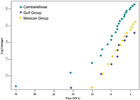 Diversification Patterns Through Time Ltt Plot For The Cambarellinae Download Scientific