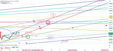 （旧正月特集）btcusd 1月24日ビットコインbybitチャート分析です。 Bitcoinguideによるbybitbtcusdpの