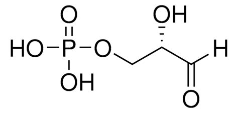 Glyceraldehyde 3 Phosphate Structure