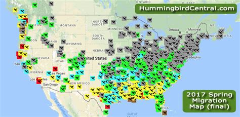 Hummingbird Migration Maps South America