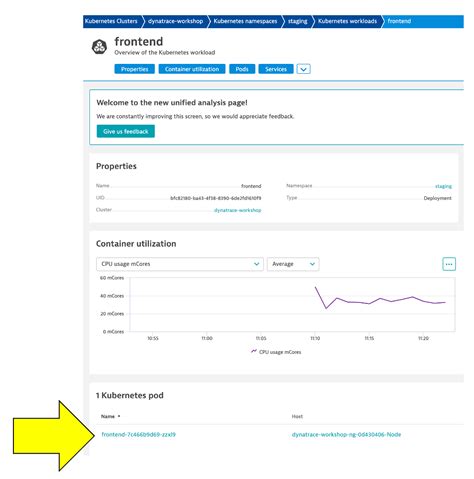 Review Kubernetes Within Dynatrace Mp Devops Series