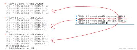 Linux — 【进程信号】通过终端按键产生信号 Csdn博客 Linux — 【进程信号】通过终端按键产生信号 Csdn博客