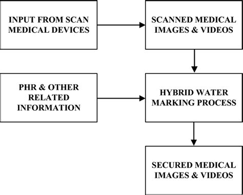 General Block Diagram Of Hybrid Dwm Technique In Healthcare System