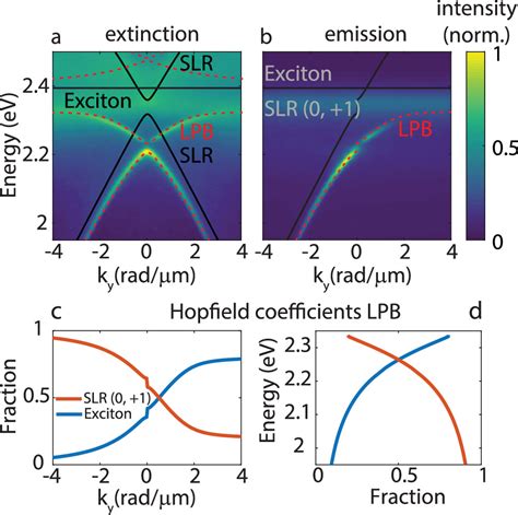 Controlling Exciton Propagation In Organic Crystals Through Strong Coupling To Plasmonic