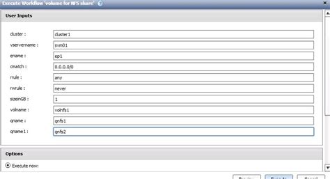 Remote Infrastructure Management Netapp Wfa Management