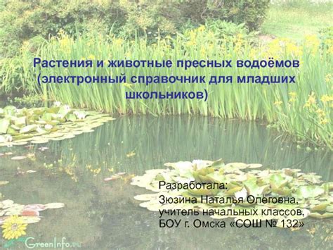 Растения и животные пресных водоёмов 4 класс презентация доклад