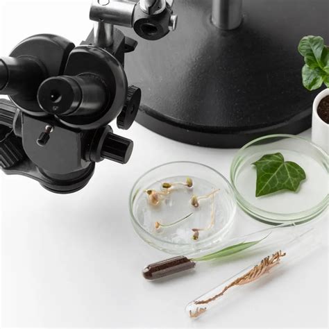 Top 7 Life Sciences Tools Verified Market Research