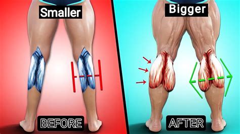 The Most Effective Calves Workout Routine Youtube