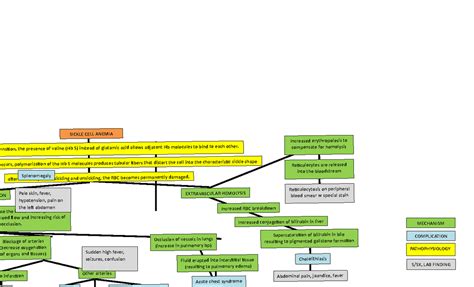 Sickle Cell Anemia Concept Map SICKLE CELL ANEMIA Naton The Presence