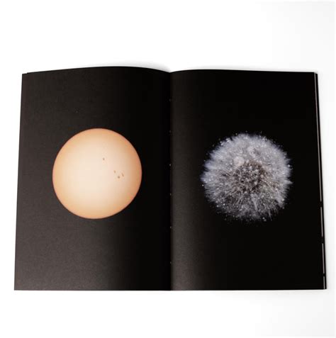 Gravity Fields Self Publishers United