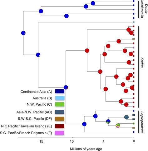 Biogeobears Graphical Output Showing Ancestral Range Estimation On A