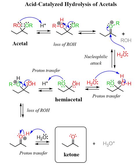 Simple Hydrolysis