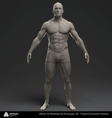 Georgina Garcia Pi On Linkedin Creativity Anatomy 3d Maya Zbrush