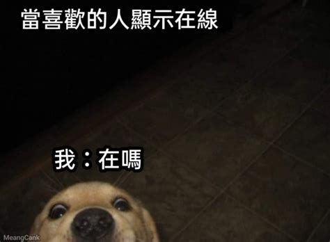 想求暈船仔的梗圖´；ω；` B20 留言 Dcard