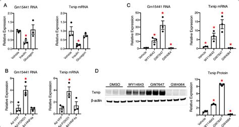 expression patterns of gm15441 and txnip are similar upon metabolic