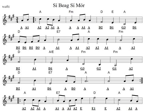 Top 20 Fiddle Tunes With Chords Irish Folk Songs