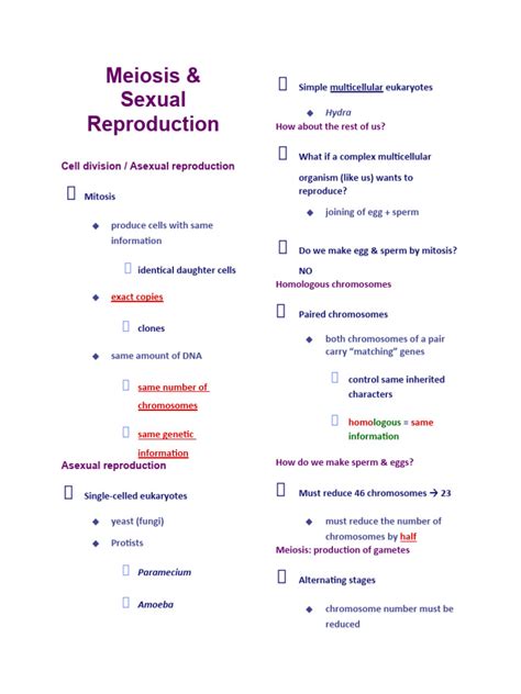 Meiosis And Sexual Reproduction Pdf Meiosis Ploidy
