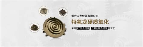 硬质氧化铝氧化铝阳极氧化特氟龙硬质氧化 烟台天龙仪器有限公司