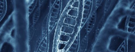 Epigenetics And Long Term Memory Mind Nutrition Uk