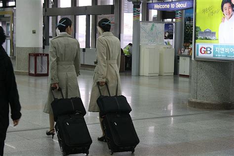 김포공항 대한항공 스튜어디스 승무원제주항공 스튜어디스 승무원 뒷모습을 담아오다 네이버 블로그