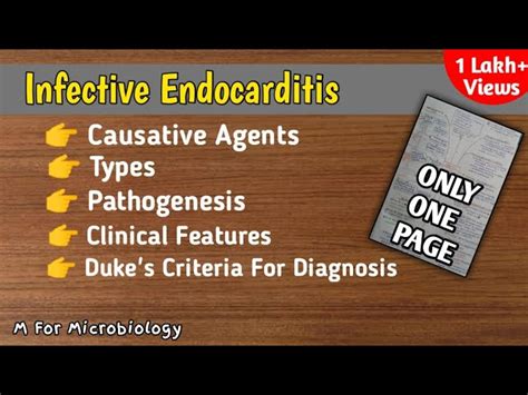 Understanding Infective Endocarditis Types Pathogenesis Diagnosis And Treatment Galaxy Ai