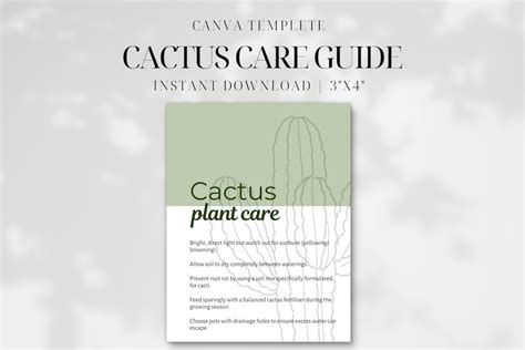 Editable Cactus Care Guide • Cactus Care Instruction Card • Canva