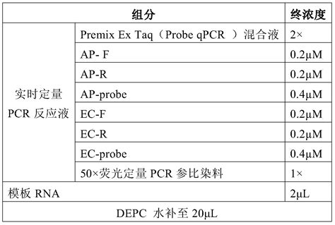 Dual Fluorescence Pcr Detection Kit Primer And Probe For