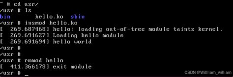 qemu学习之路（5）— 从0到1构建linux系统镜像 qemu镜像 csdn博客
