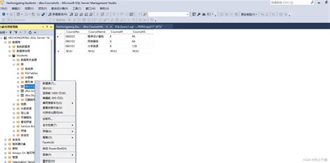 Sql Server、ssms、编写t Sql语句完整教程 Csdn博客