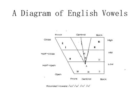 phonetics and phonology introduction dr salama embarak